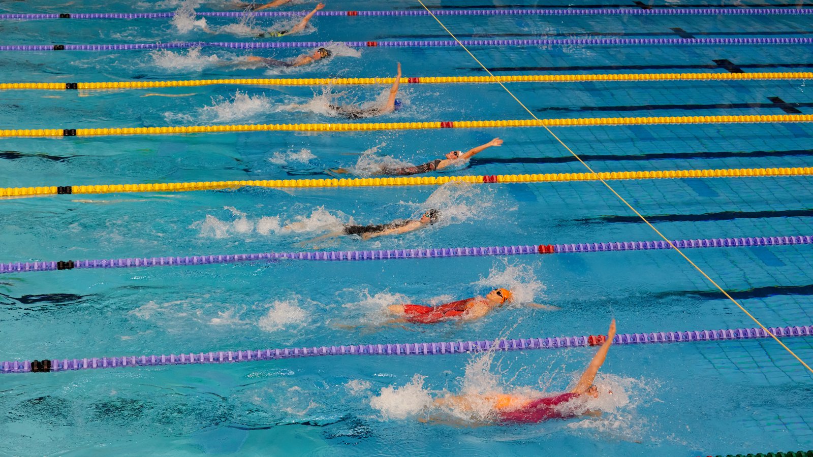 2020 Summer Meet Qualifying Window Announced | Swimming News | Aquatics GB