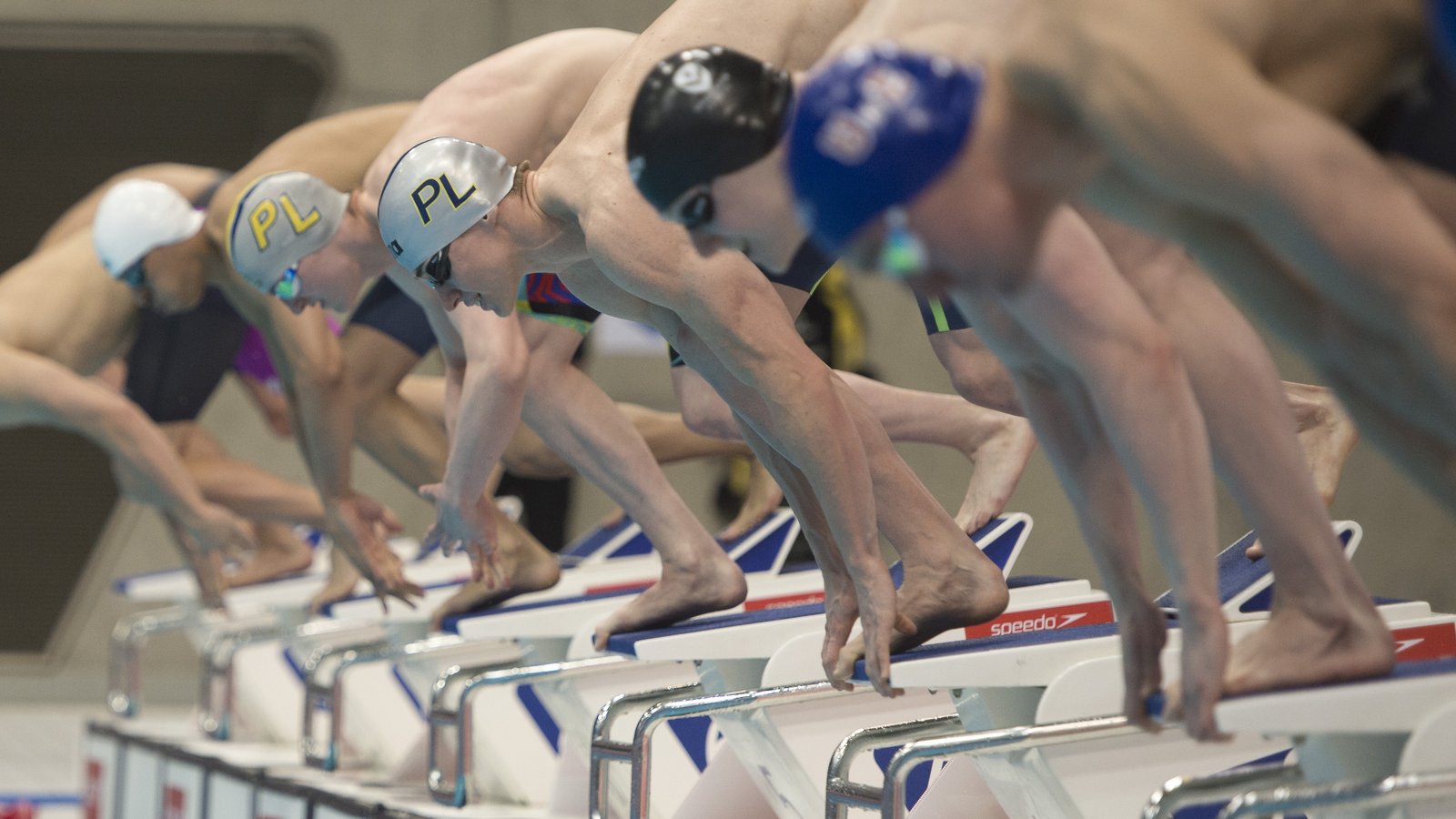 2016 Results | Swimming Results | Aquatics GB