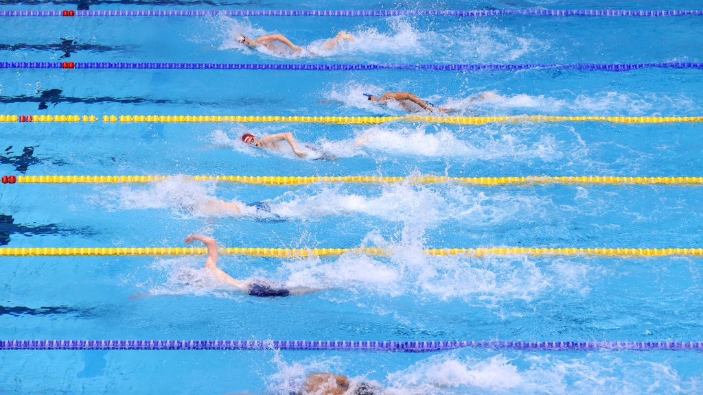 Qualifying window dates confirmed for 2024 summer events | Swimming ...