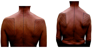 Injury Prevention | Para-Swimming | Aquatics GB