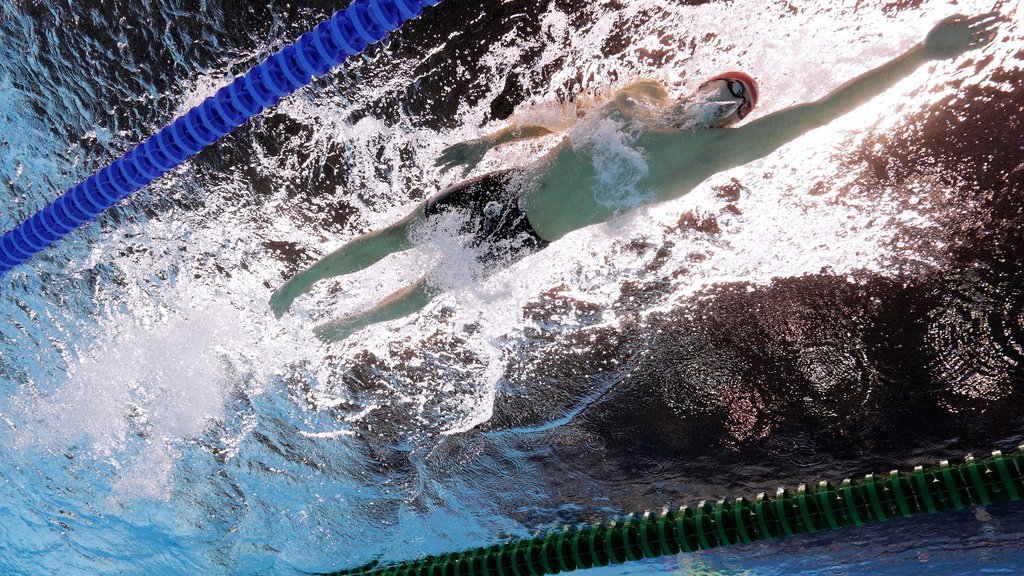 Olympic medallist Milne hangs up goggles | Swimming News | Aquatics GB