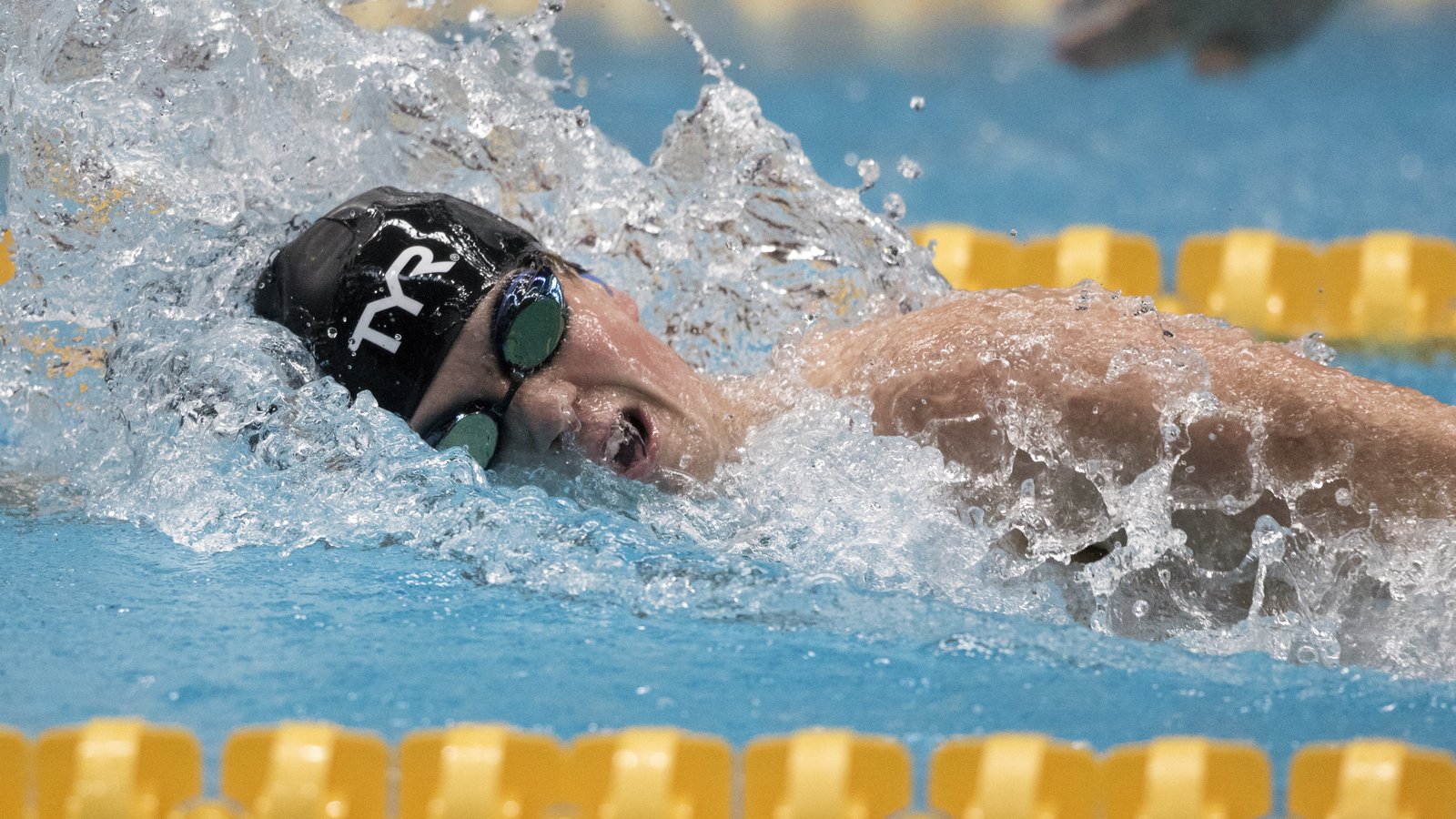 Hamer heads for title defence | Swimming News | Aquatics GB